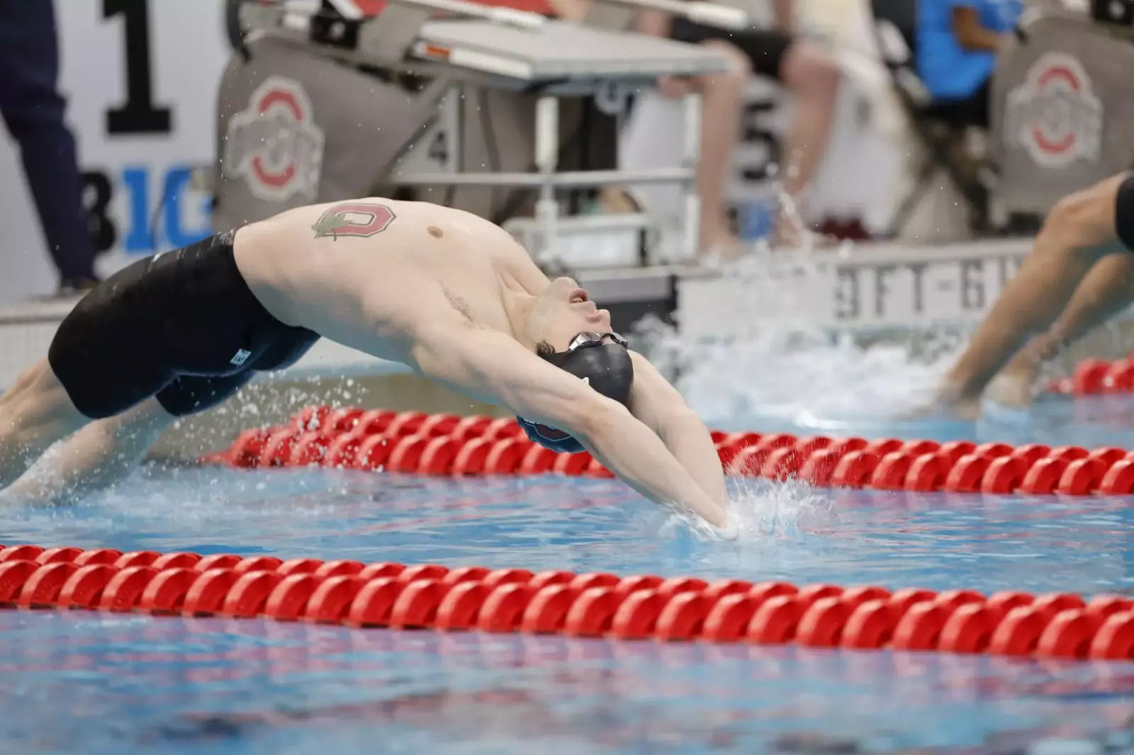 Swimming & Diving Welcomes Penn State for Senior Day - Ohio State