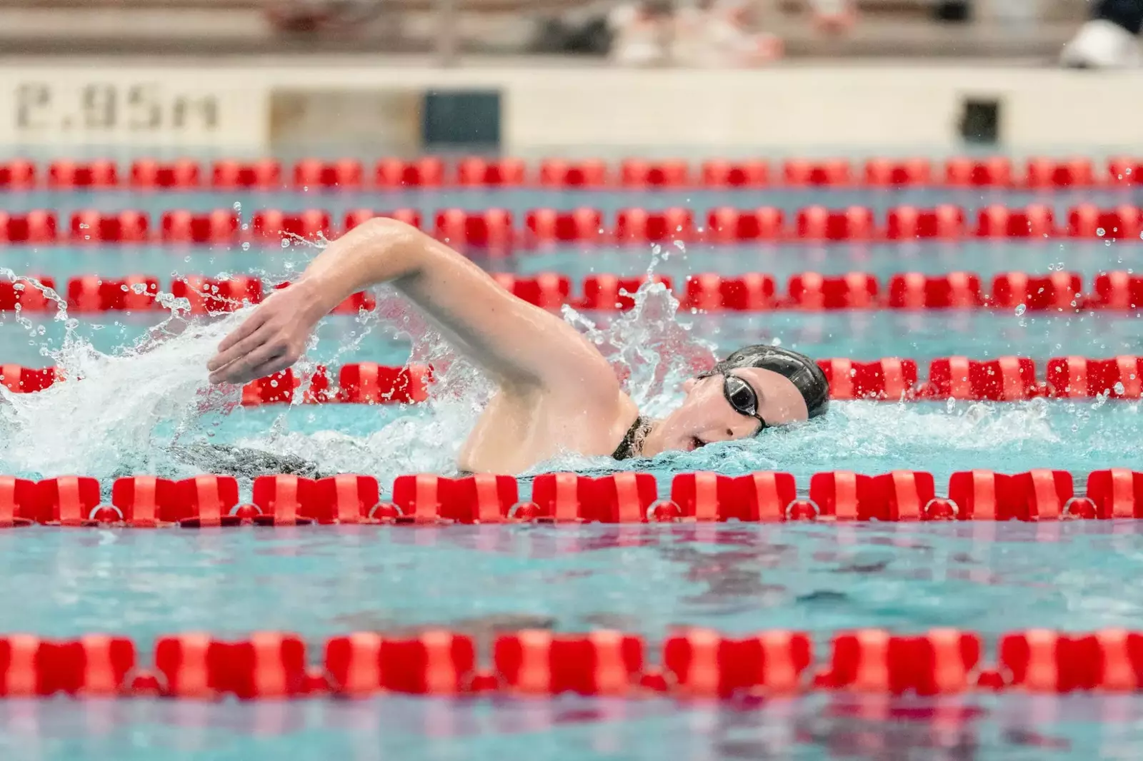 Nikanorov Sets School Record, NCAA B Cuts Abound as Ohio State Defeats ...