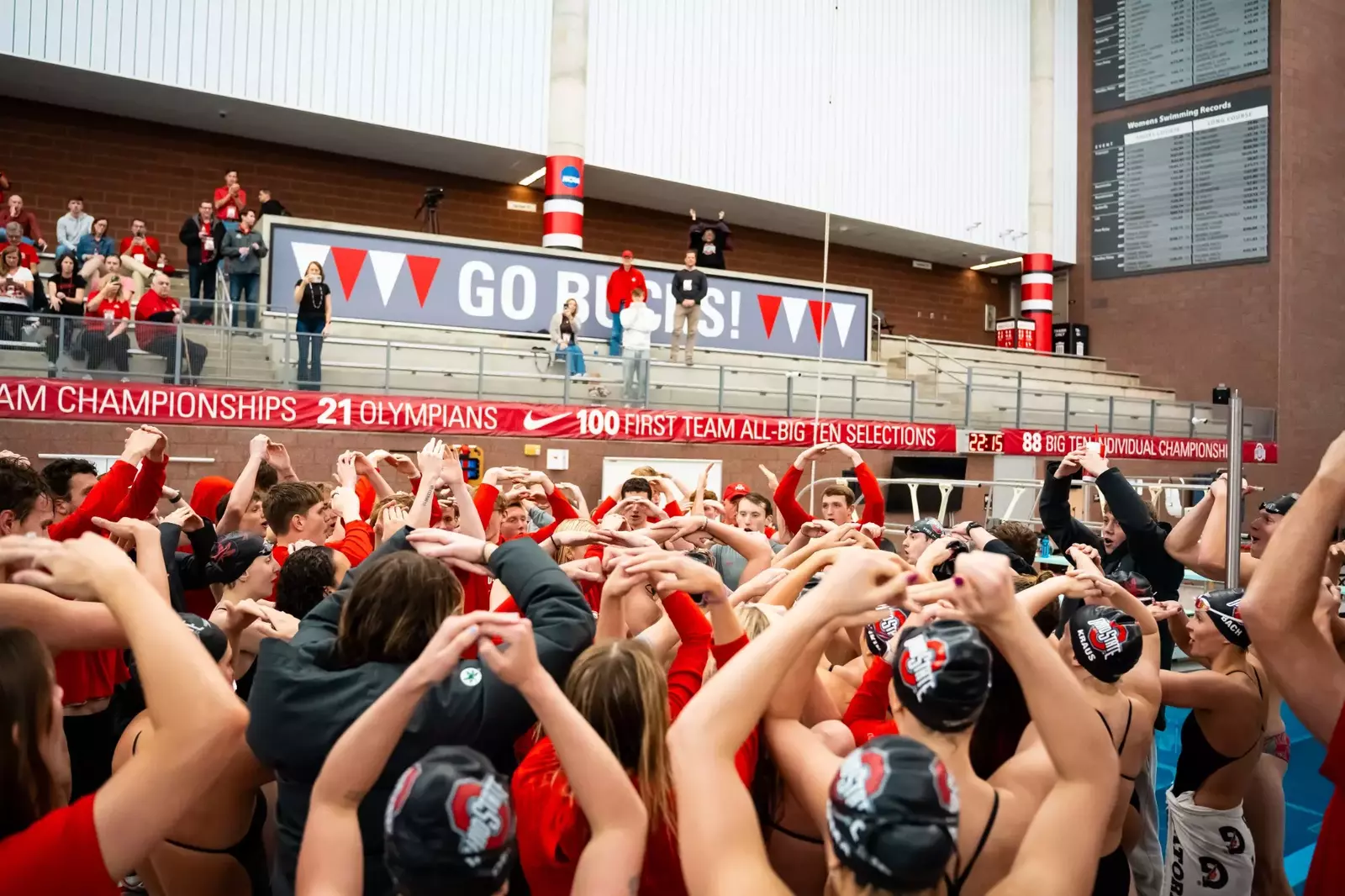 Men's Swimming & Diving Adds 17 for 2024-25 - Ohio State