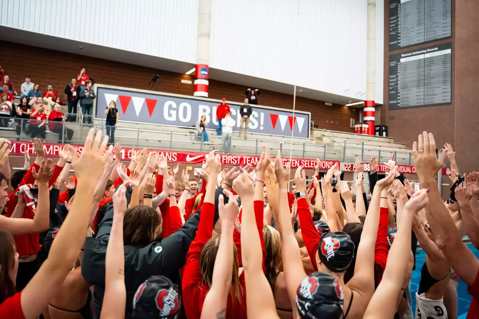 Women's Swimming & Diving Welcomes 15 Newcomers - Ohio State