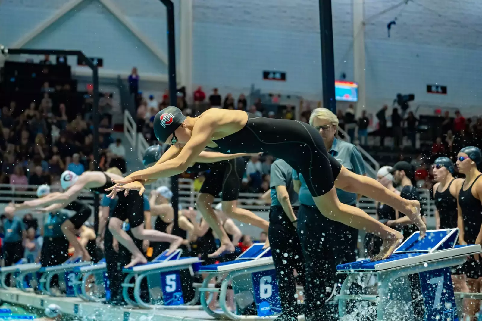 26 Buckeyes Named CSCAA Scholar All-Americans - Ohio State