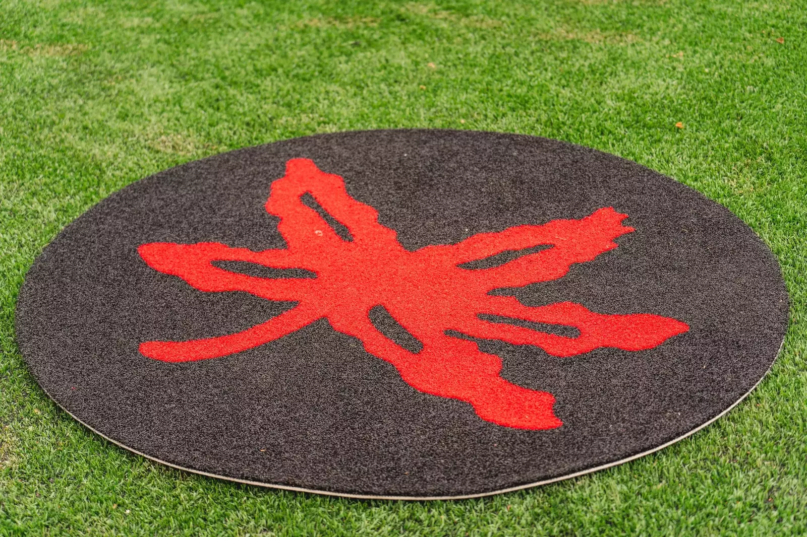 Ohio State Announces Change in Softball Coaching Staff - Ohio State