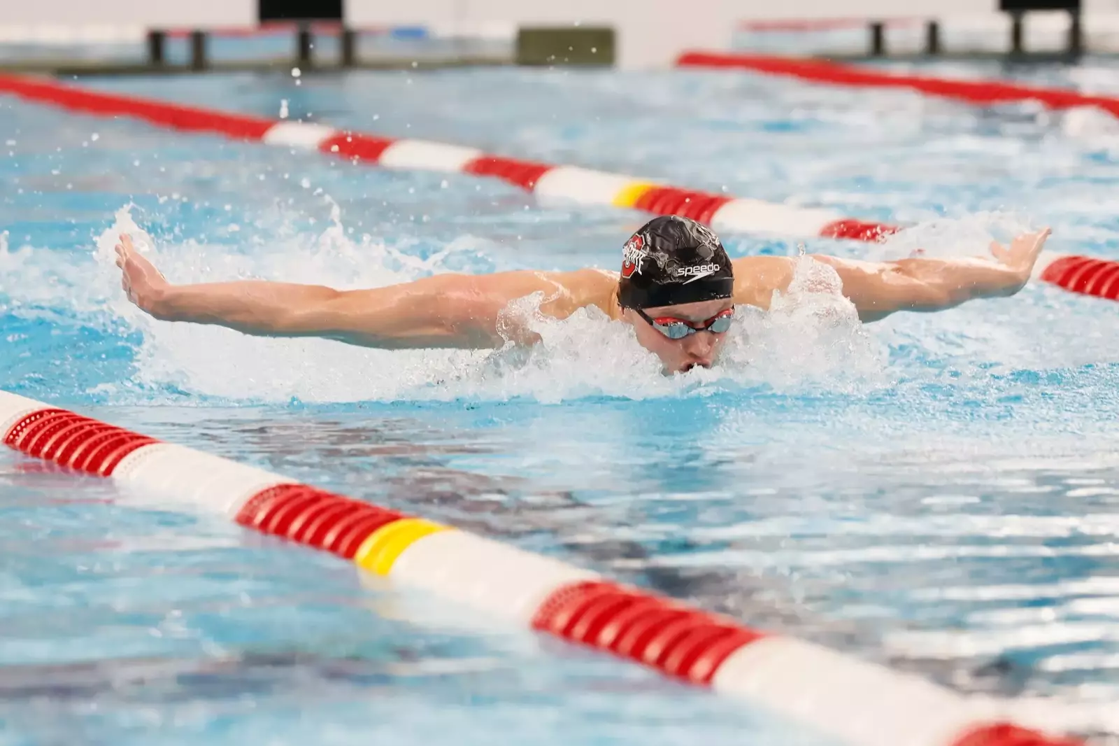 Swimming & Diving Head to Pitt for Saturday Dual Meet - Ohio State