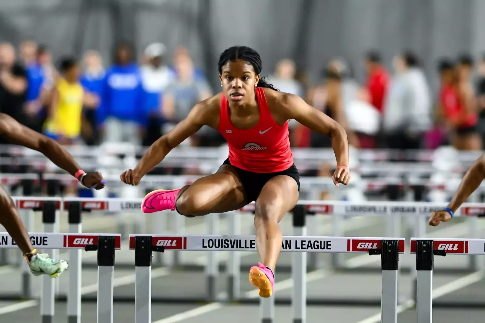 Buckeyes Capture Four Event Titles at the USF Invite This Weekend ...