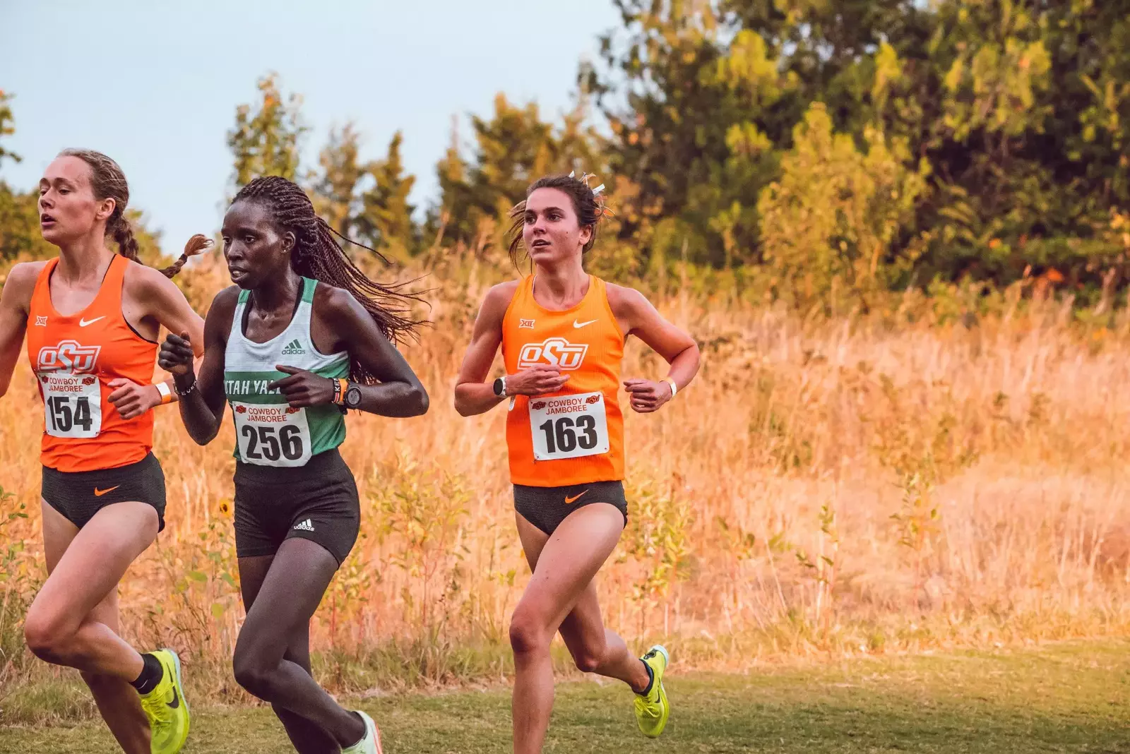 Natalie Cook and Alex Maier Named USTFCCCA National Athletes of the ...