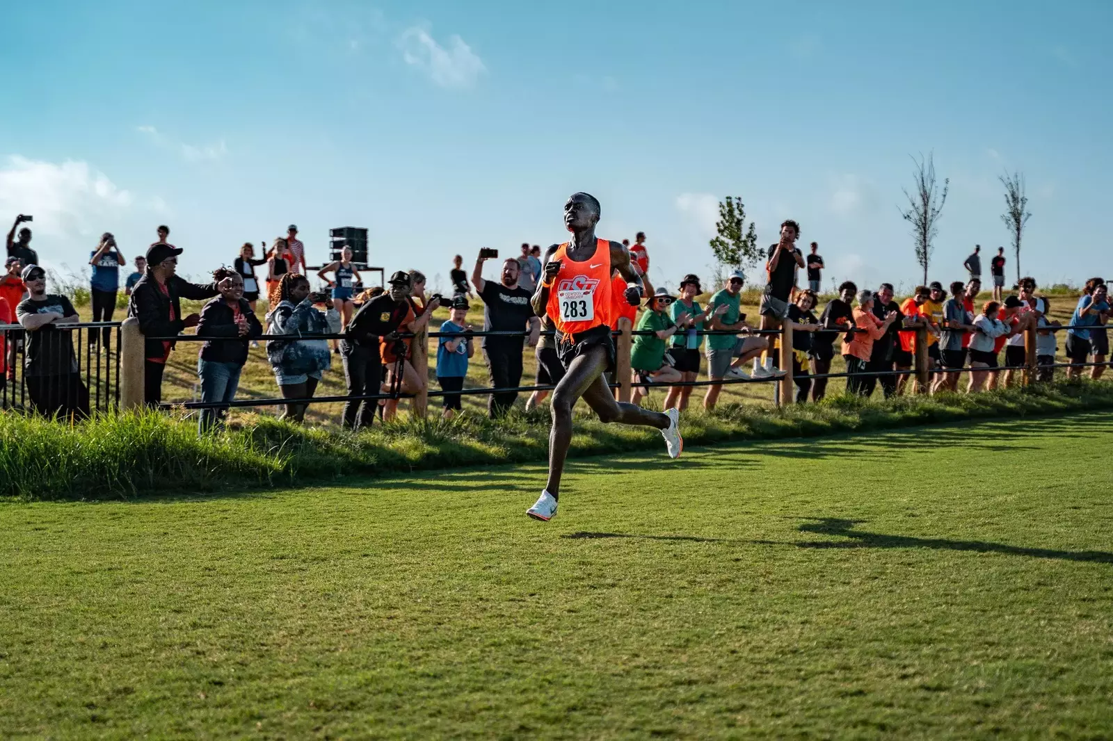 Cowboy and Cowgirl Cross Country Sweep Individual and Team Titles at ...