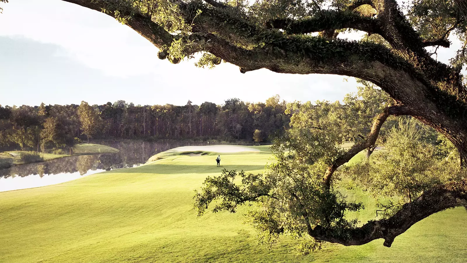 University of Mississippi - Ole Miss Athletics