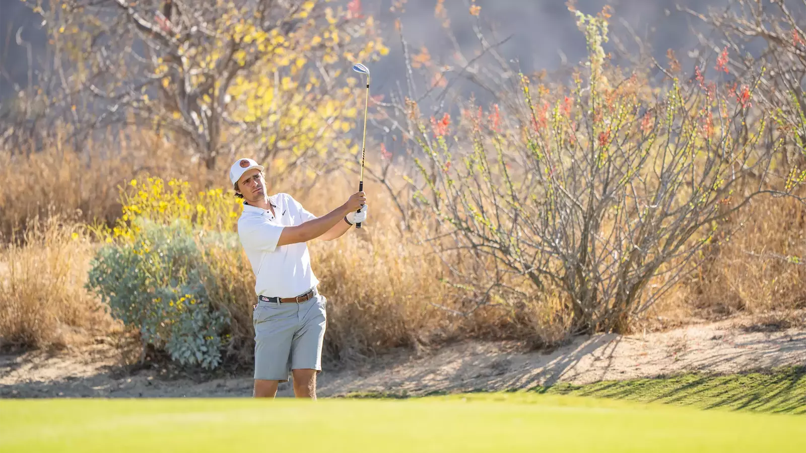 University of Mississippi - Ole Miss Athletics