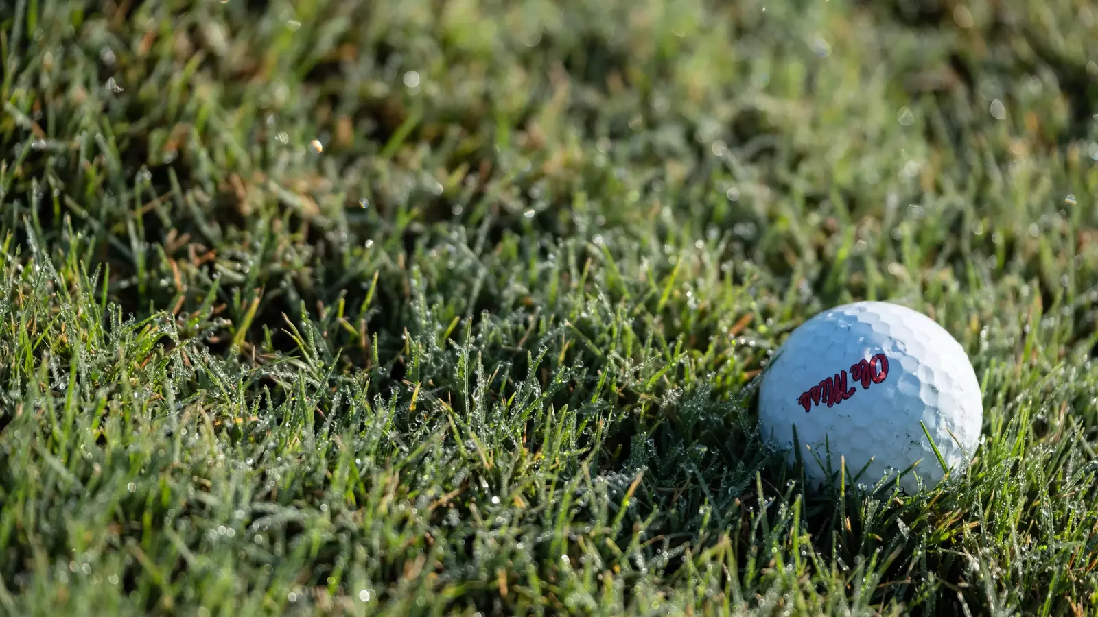 University of Mississippi - Ole Miss Athletics