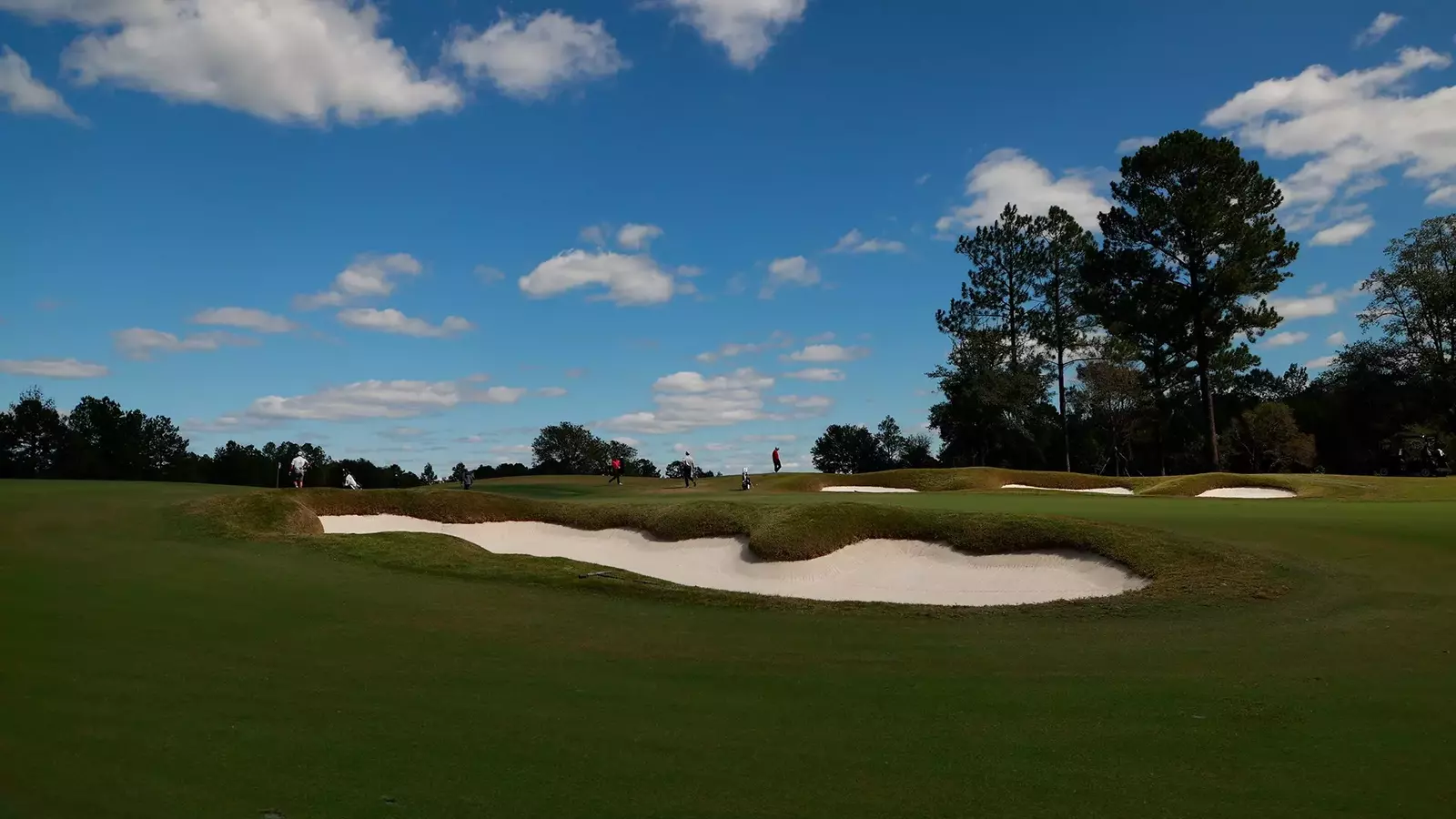 University of Mississippi - Ole Miss Athletics