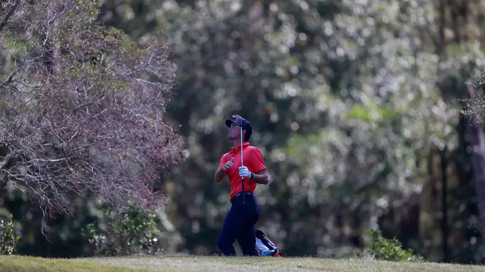 University of Mississippi - Ole Miss Athletics