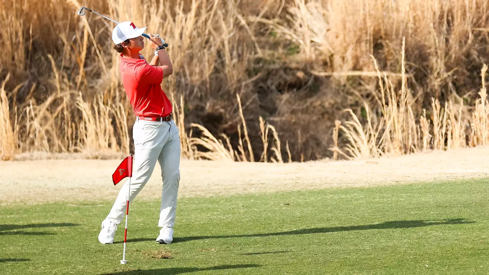 University of Mississippi - Ole Miss Athletics