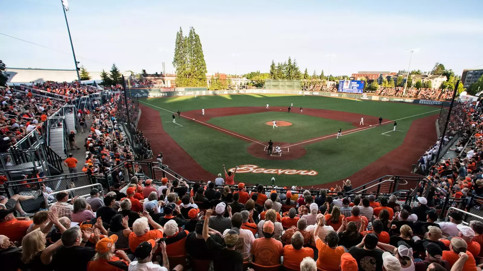 Oregon State University Athletics