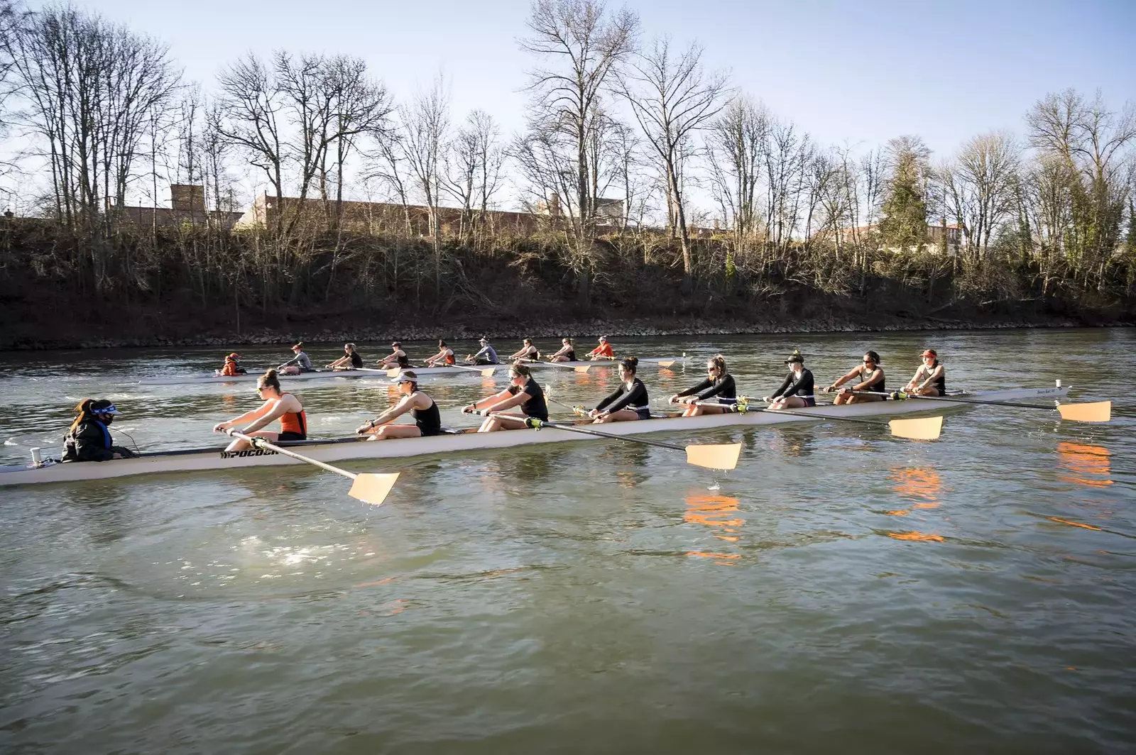 Oregon State University Athletics