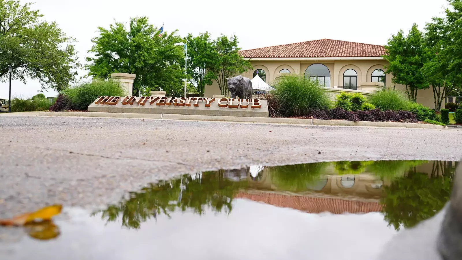 Oregon State University Athletics