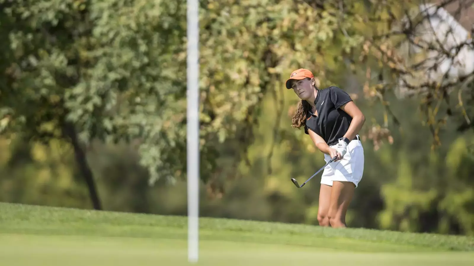 Oregon State University Athletics