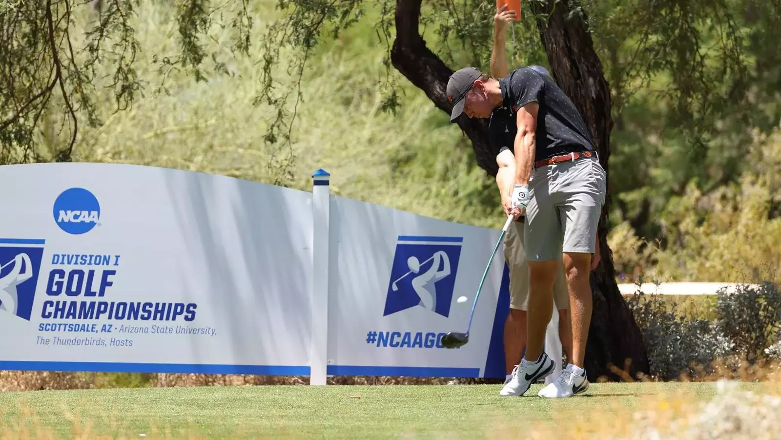 Oregon State University Athletics