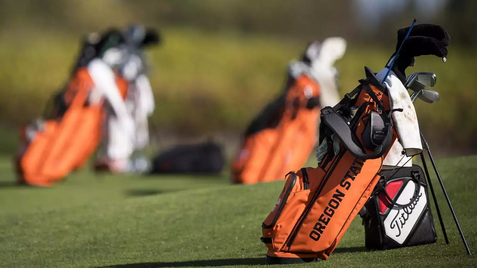 Oregon State University Athletics
