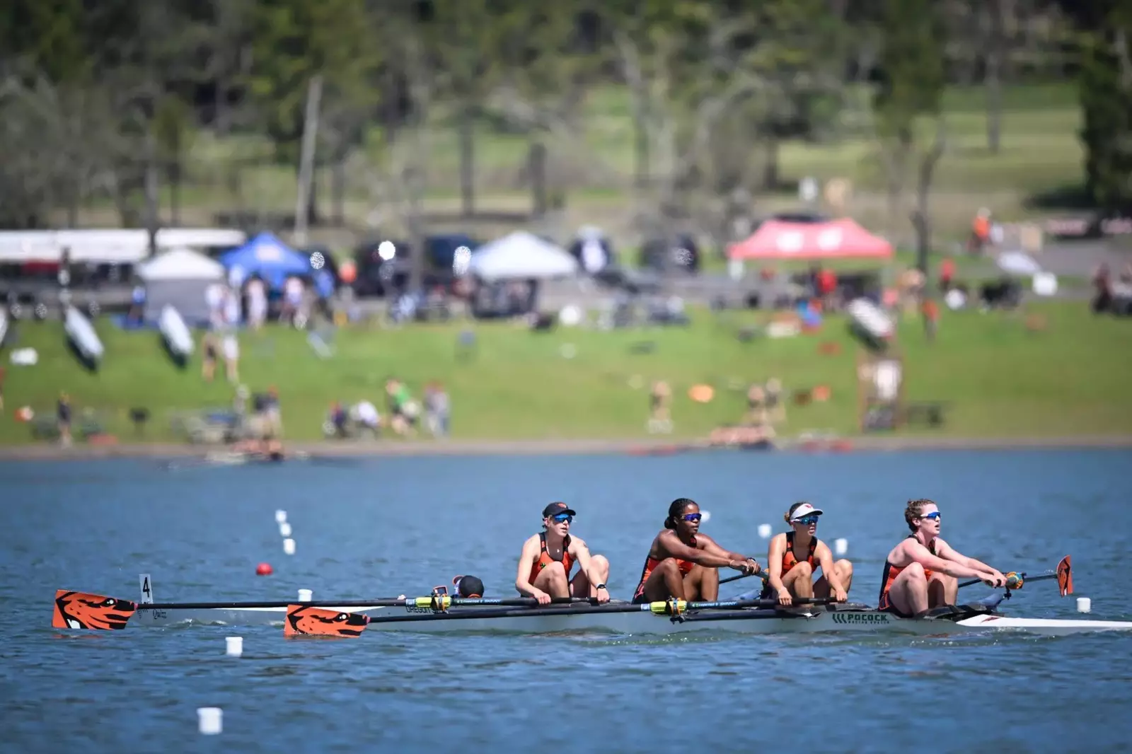 Oregon State University Athletics