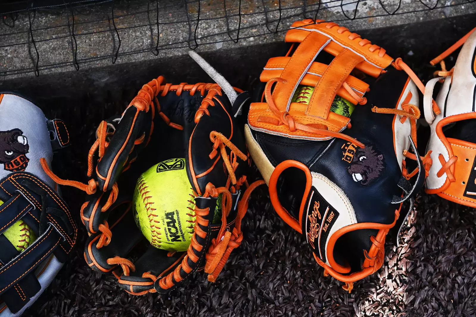 Oregon State University Athletics