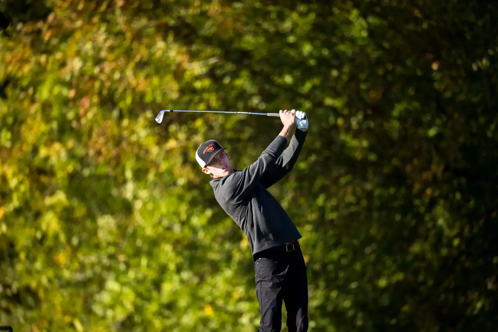 Oregon State University Athletics