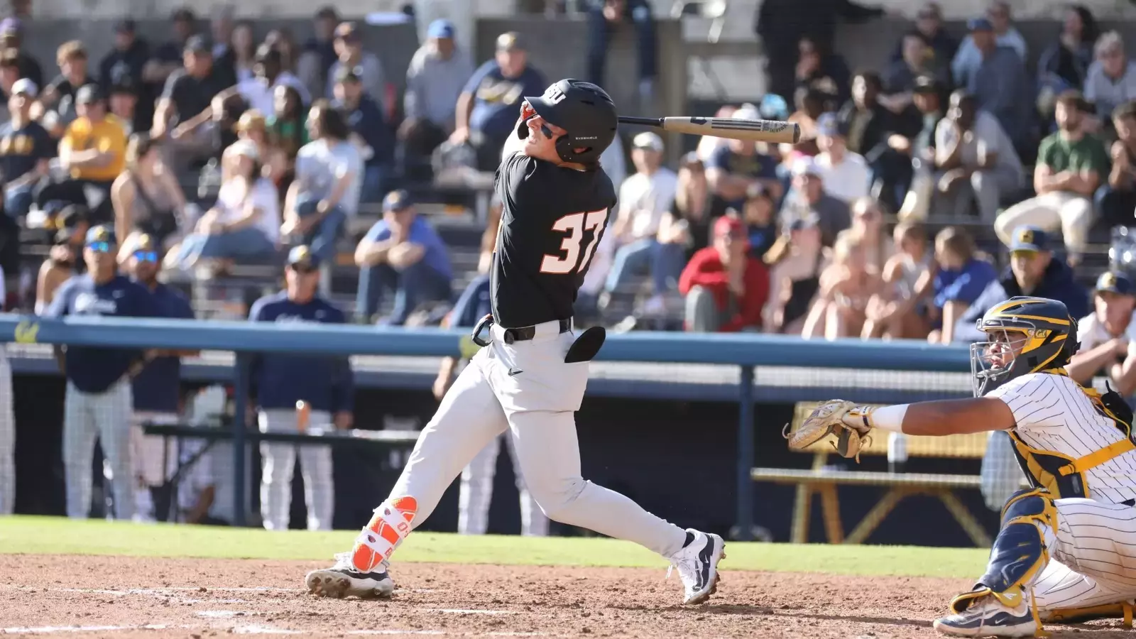 Oregon State University Athletics