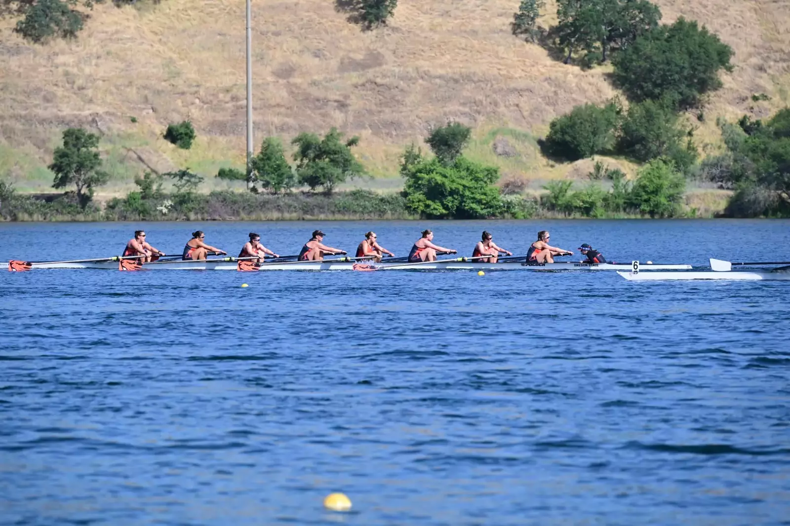 Oregon State University Athletics