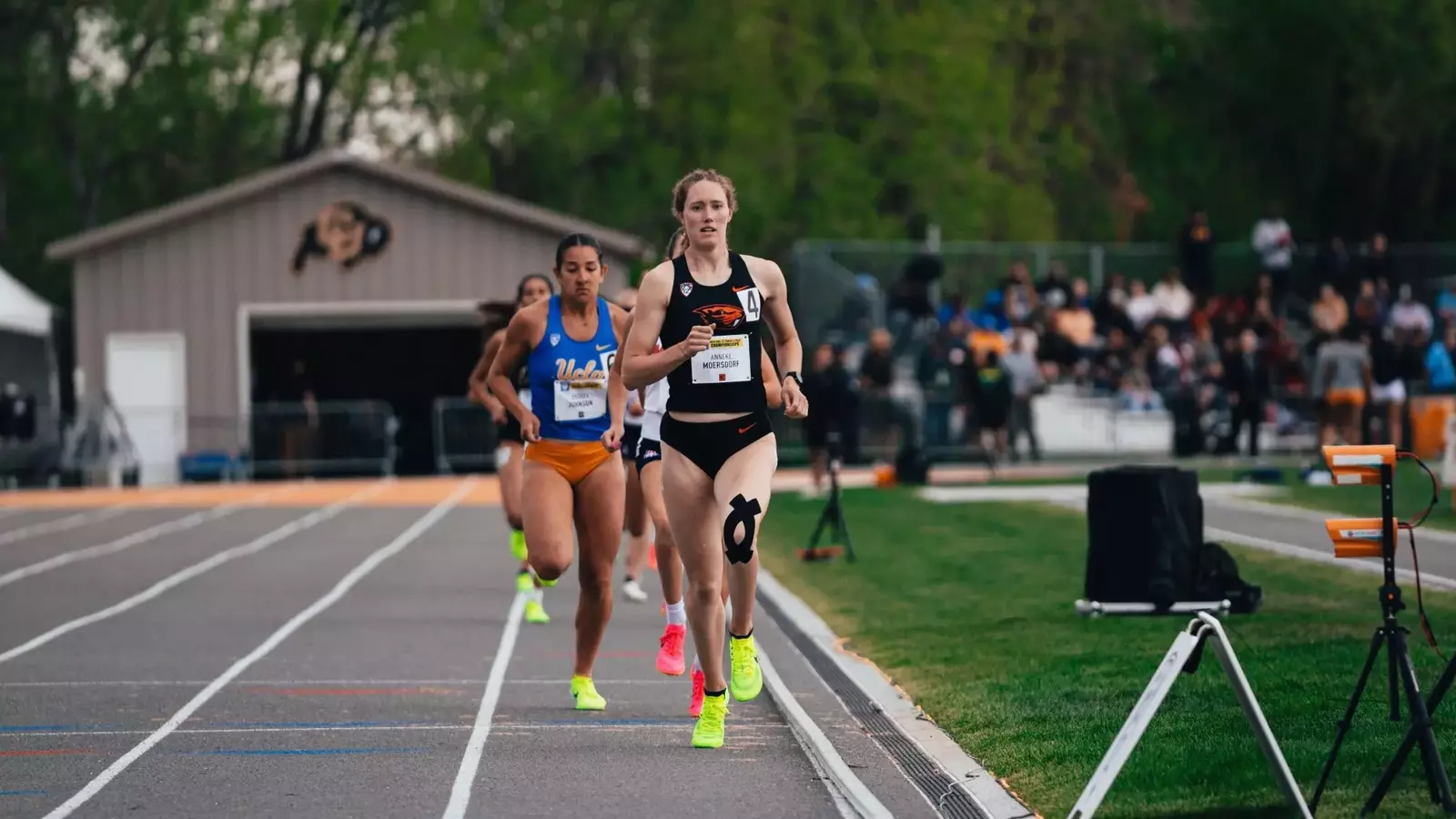 Oregon State University Athletics