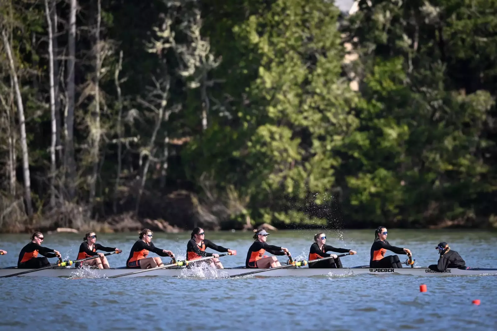 Oregon State University Athletics