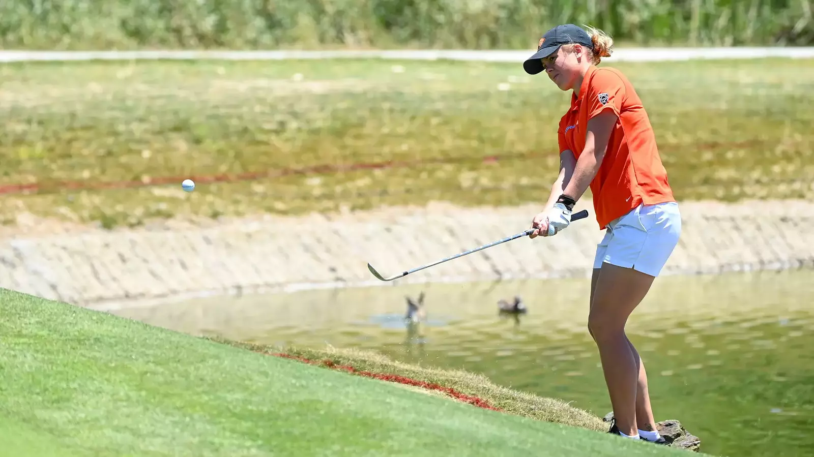 Oregon State University Athletics