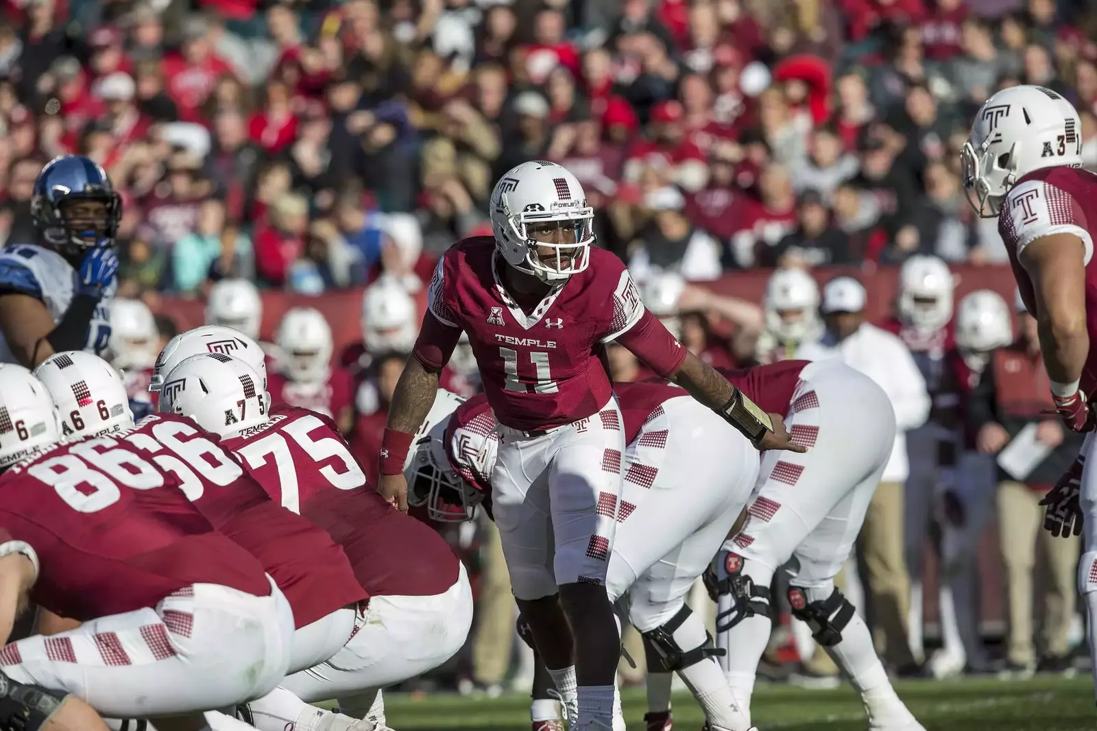 Temple University