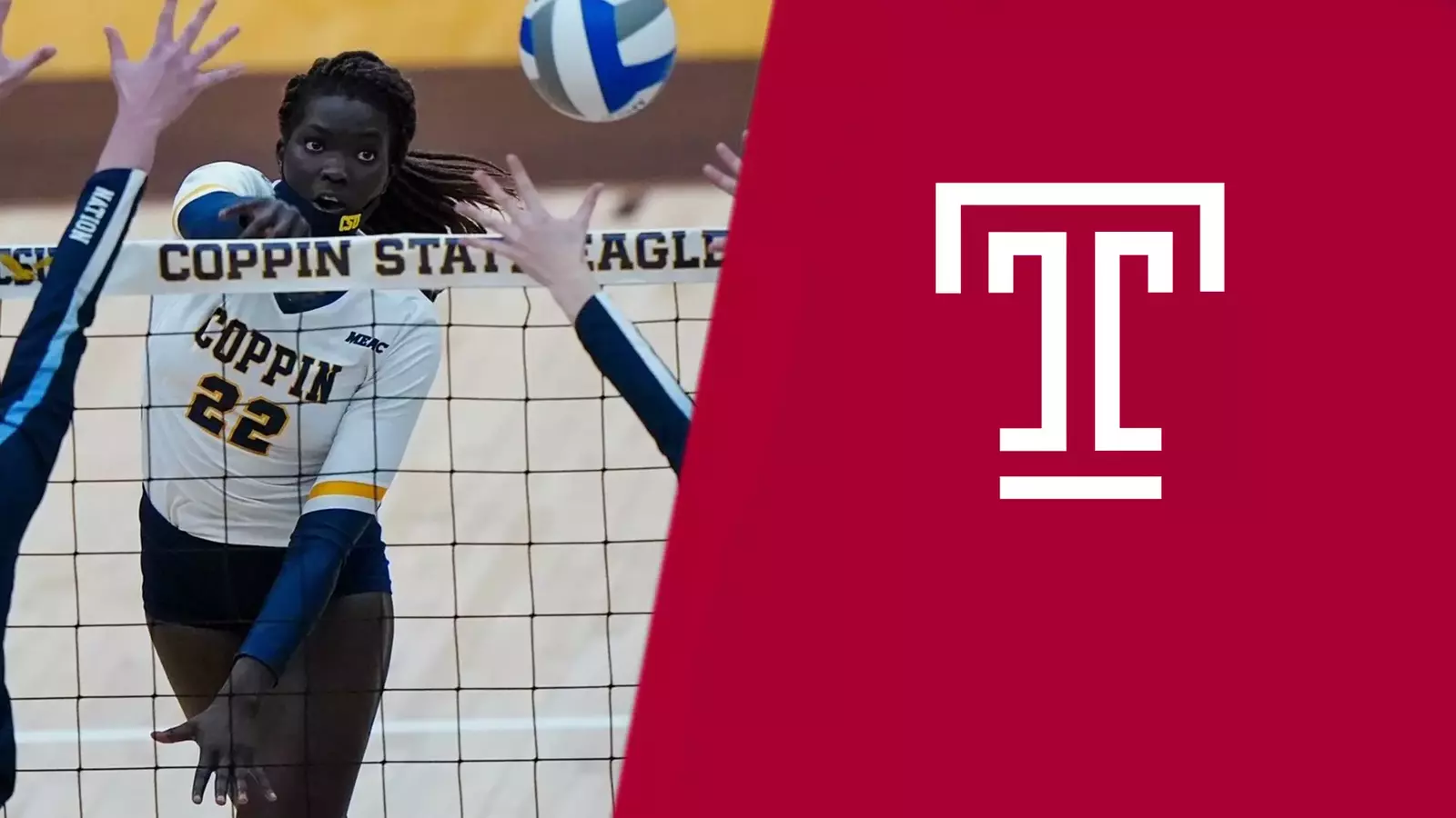 Temple University