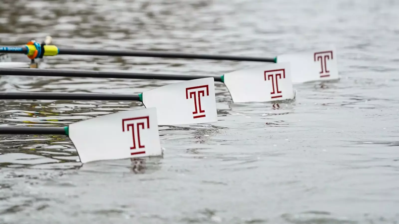 Temple University