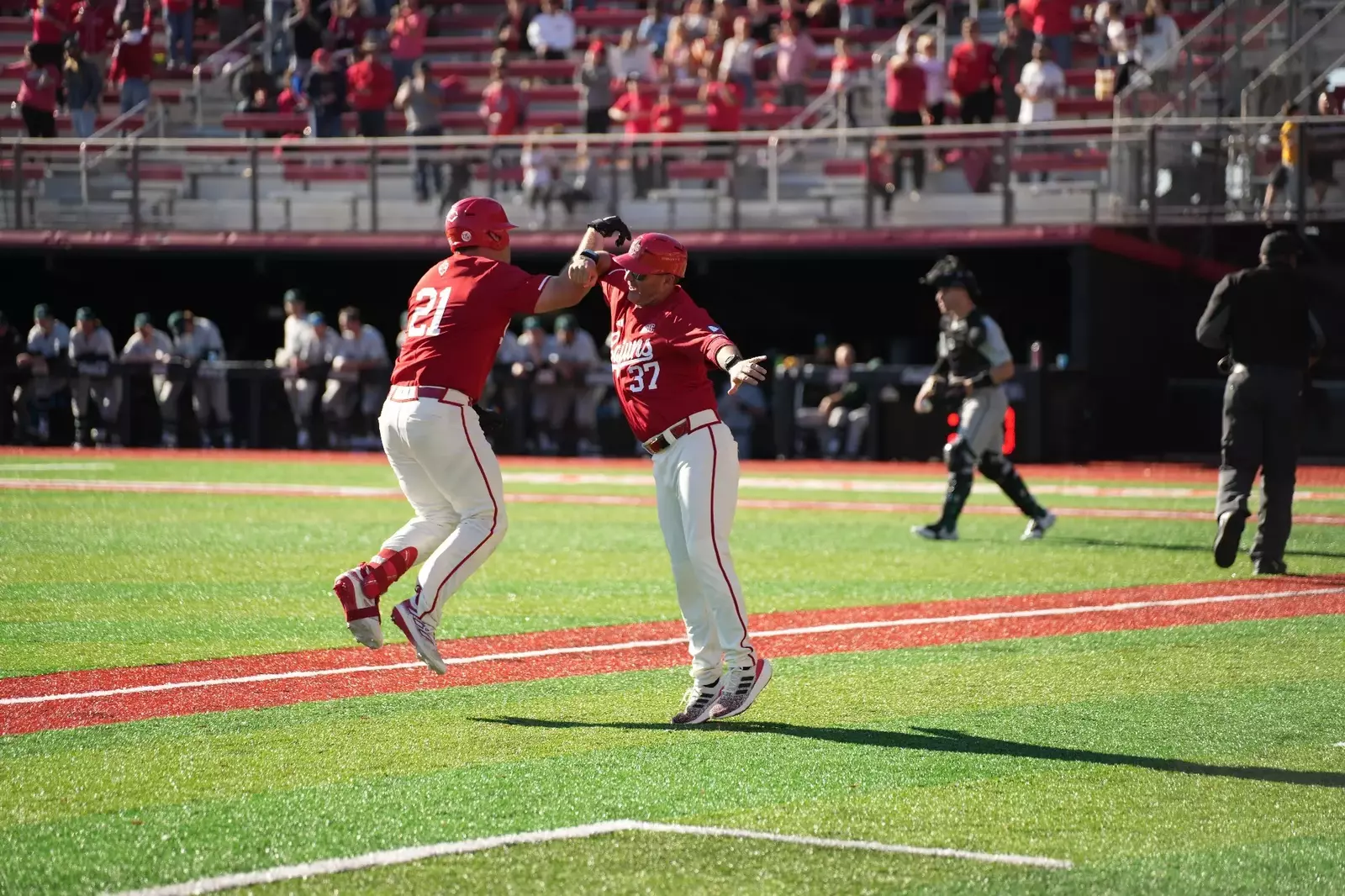 Louisiana Ragin' Cajuns