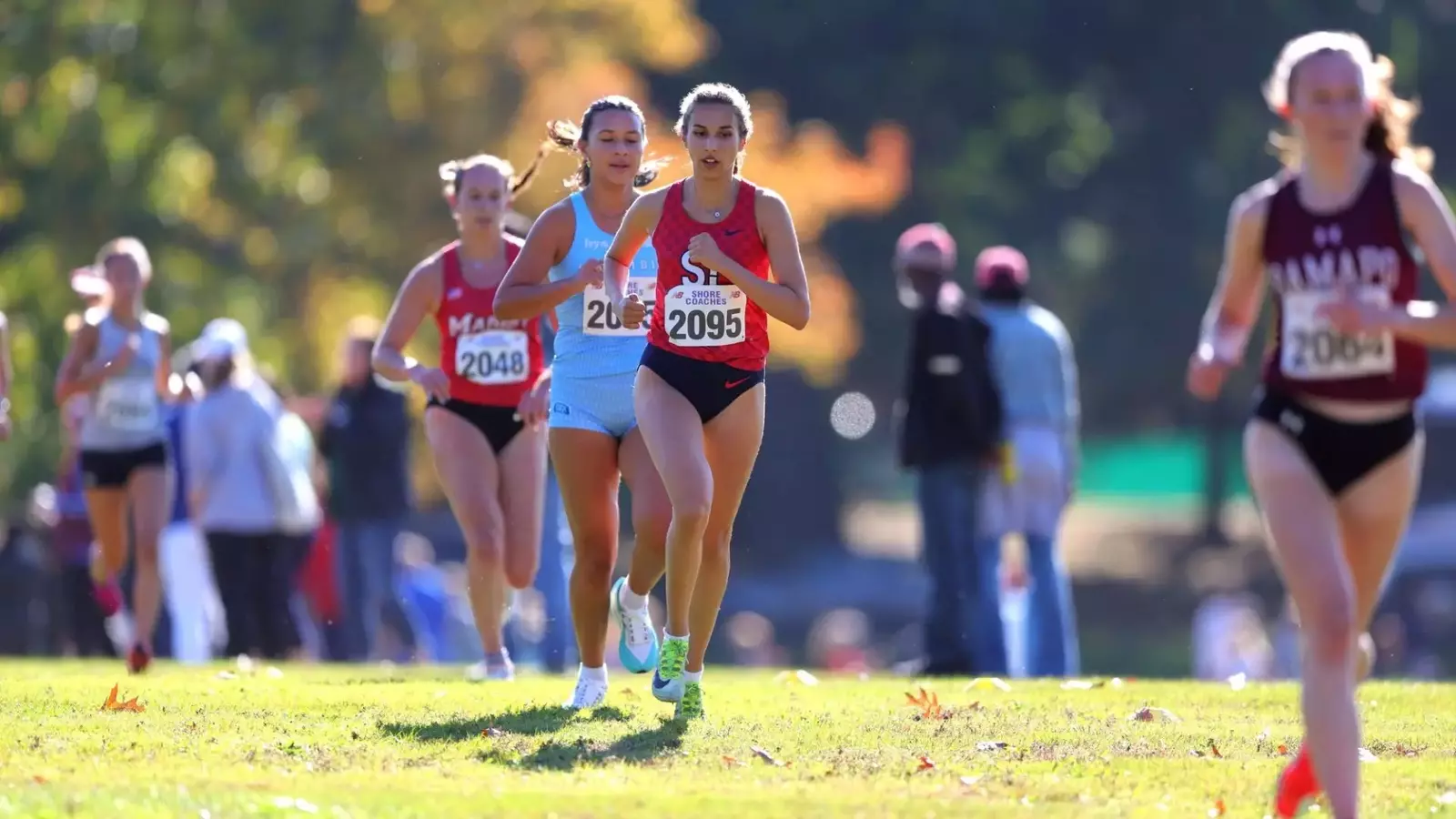 University of St John's