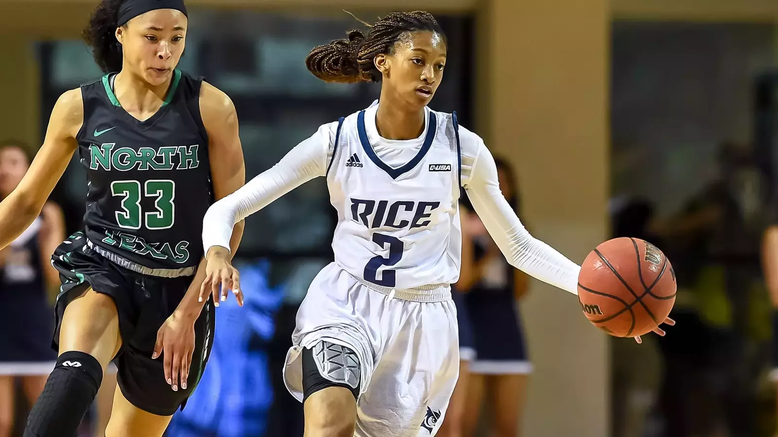 Rice University