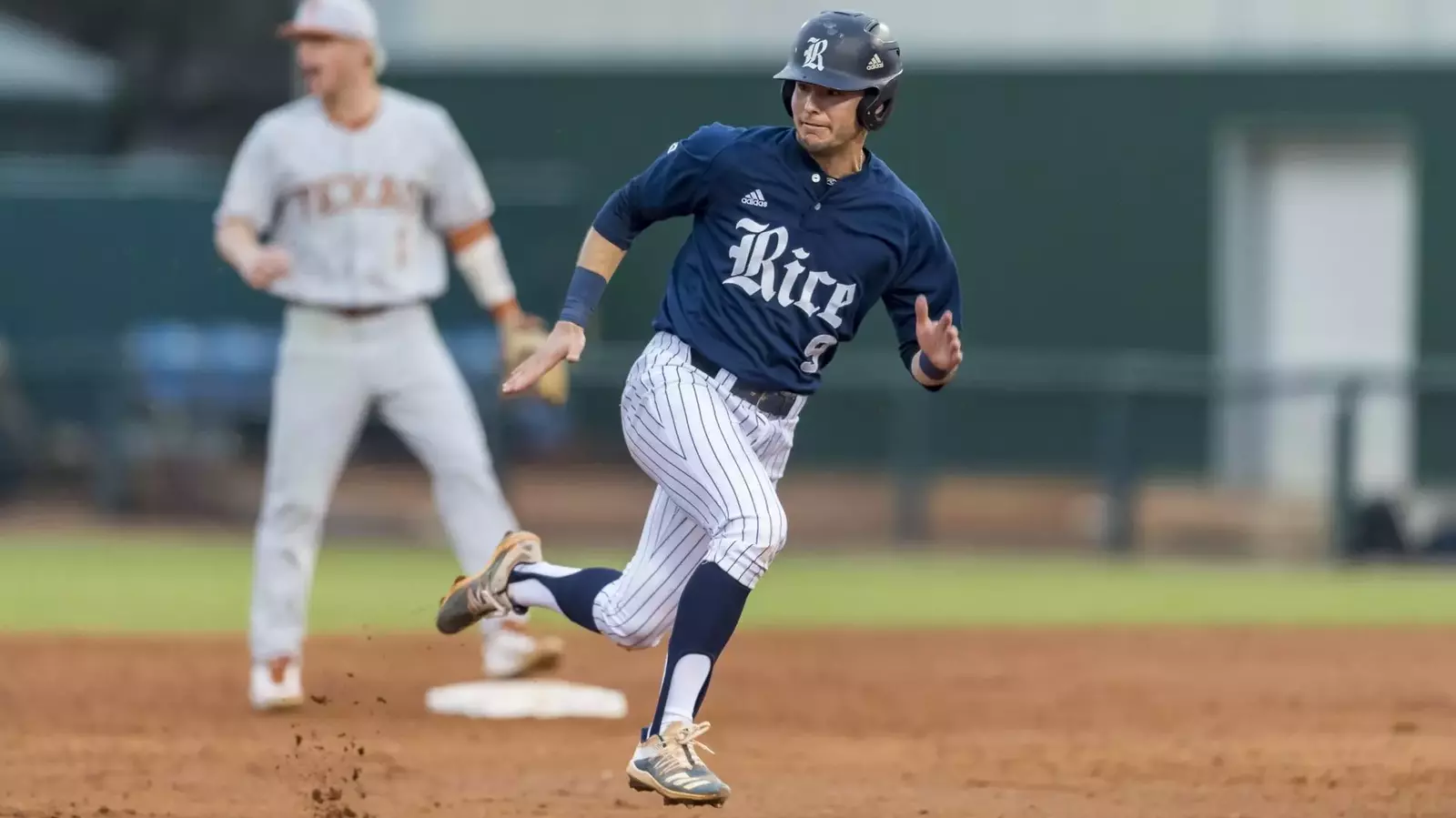 Rice University