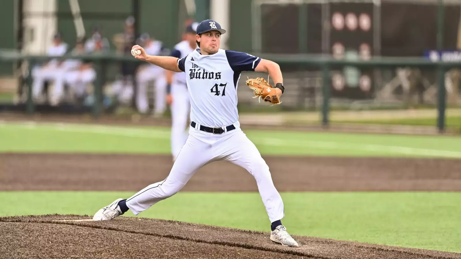 Rice University