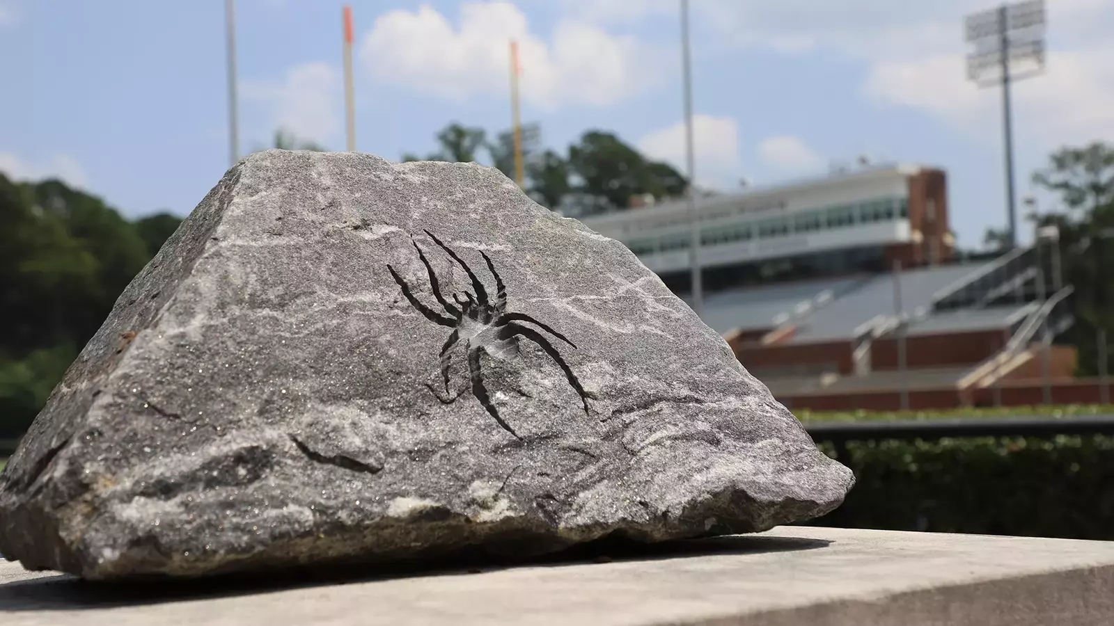 University of Richmond