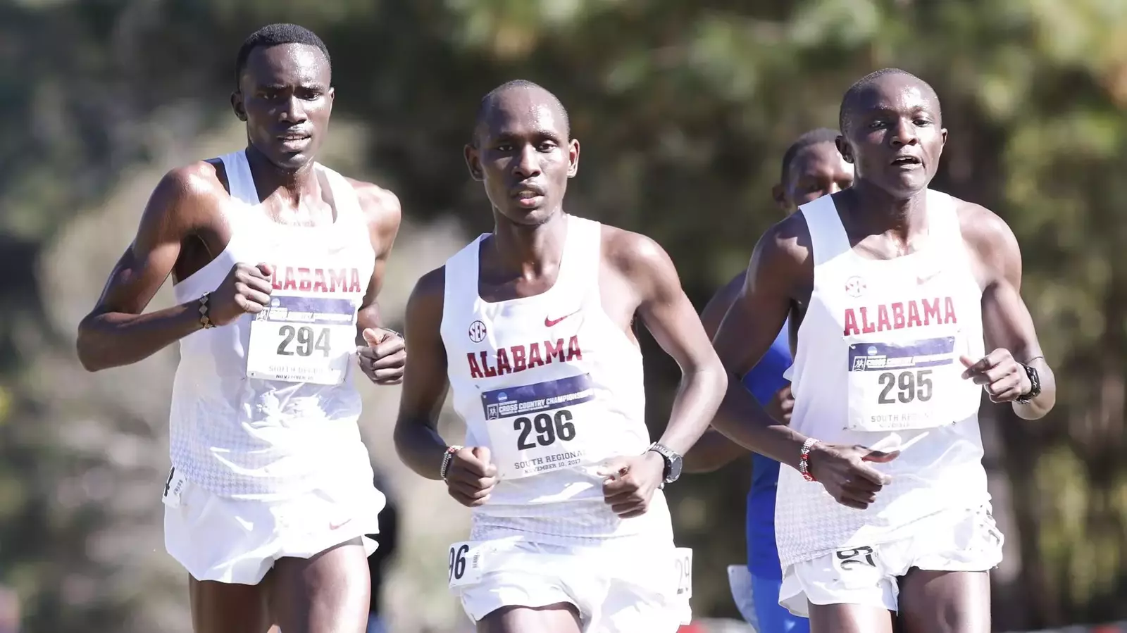 Alabama Men’s Cross Country to Compete at NCAA Championships on ...