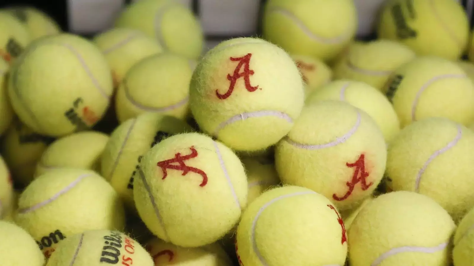Alabama Women’s Tennis Alumni Reunion Outlook - Alabama Athletics