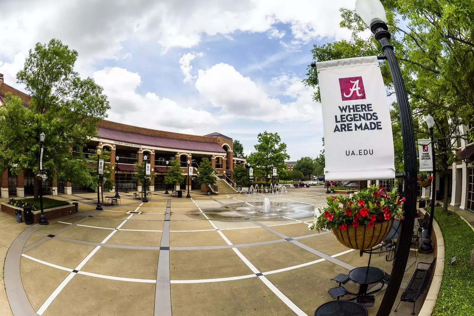 12 Alabama Athletics Teams Score 90-or-Better in Latest NCAA Graduation ...