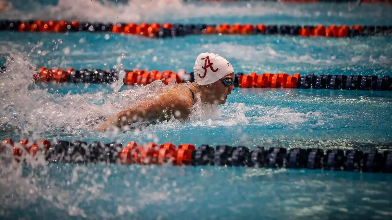 Alabama Swimming and Diving Breaks Six School Records on Day Three of ...