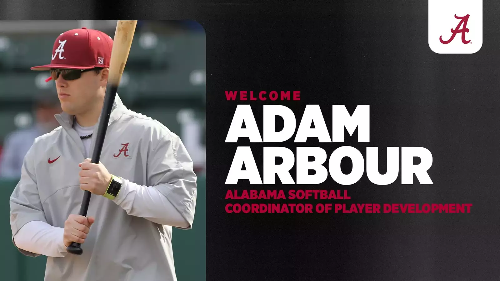 Adam Arbour Joins Alabama Softball Staff as Coordinator of Player ...