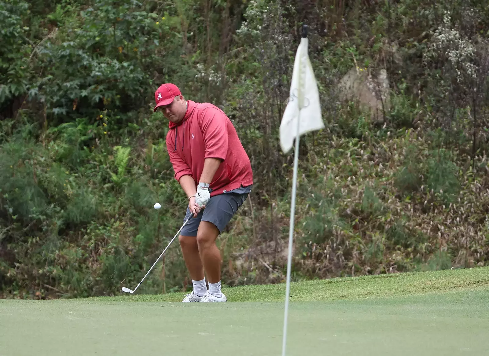 Three Golfers Rank Inside the Top 15 to lead Alabama after 36 Holes of ...