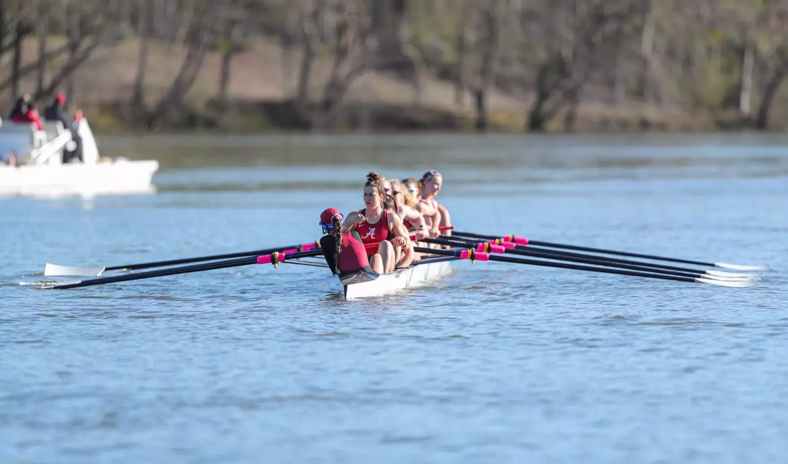 Alabama Rowing Takes Five of Six Races Against No. 18 Tennessee ...