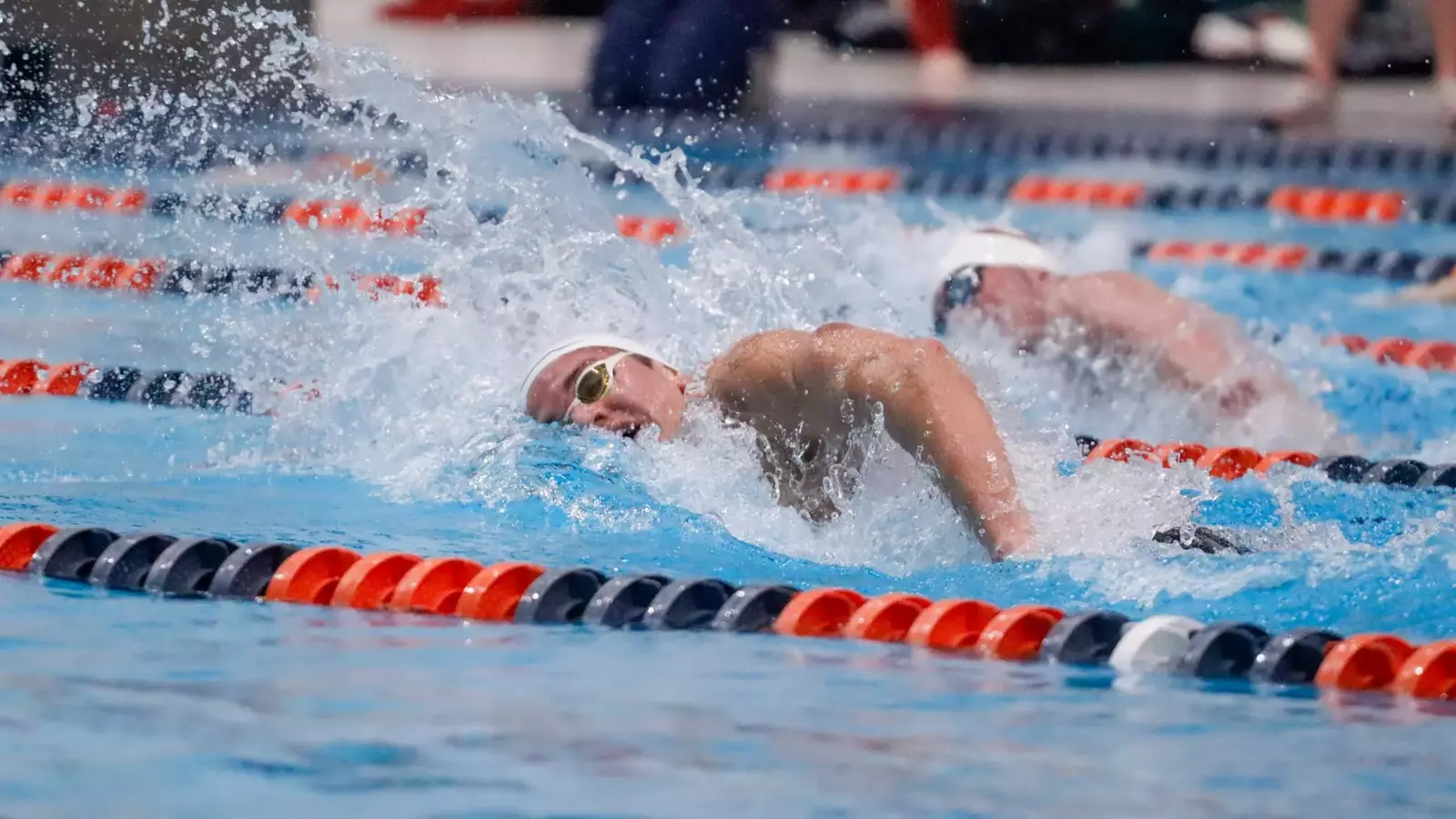Alabama Swimming and Diving Falls in Regular Season Finale to Auburn ...