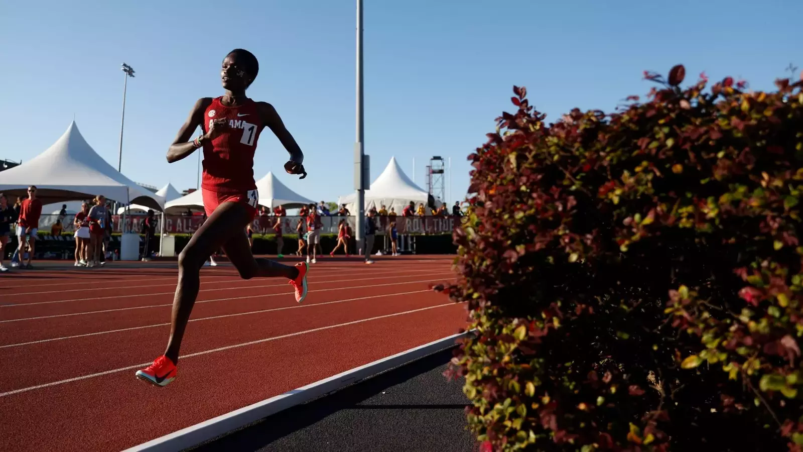 Alabama Finds Early Success in Multi-Meet Weekend - Alabama Athletics