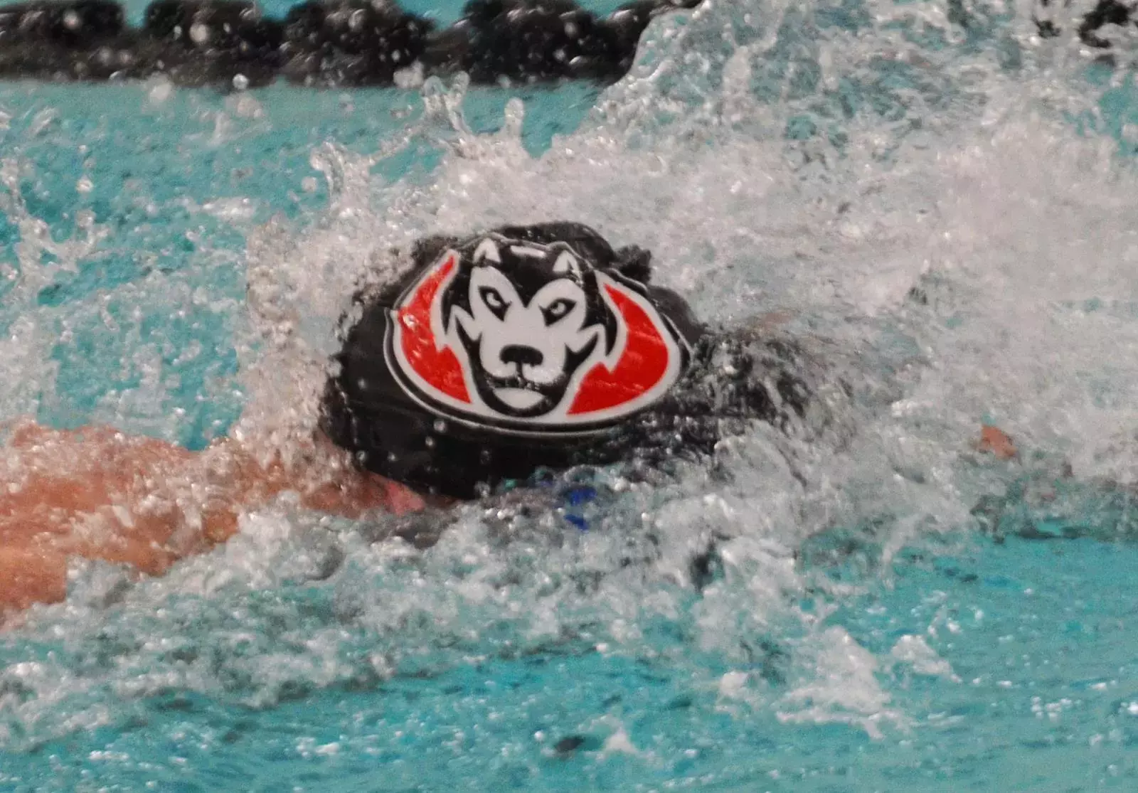 SCSU swim and dive gains wins over MSUM and NSU - St. Cloud State ...
