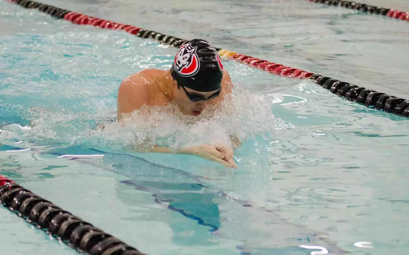 SCSU Swim and Dive on the road to USD Tri-Duals - St. Cloud State ...